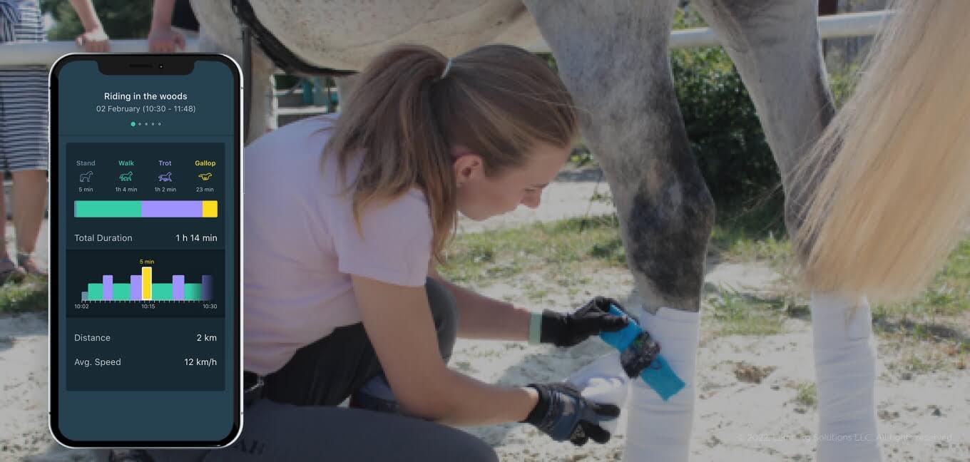 How to Prepare Your Data for a Data Science Project | Lemberg Solutions